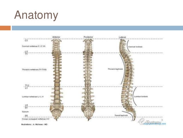 Caudal anesthesia