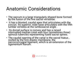 caudal anesthesia.pdf