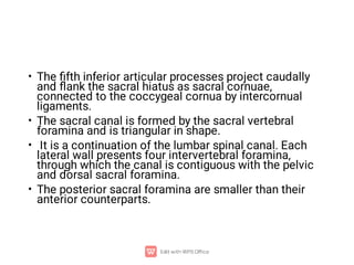 caudal anesthesia.pdf