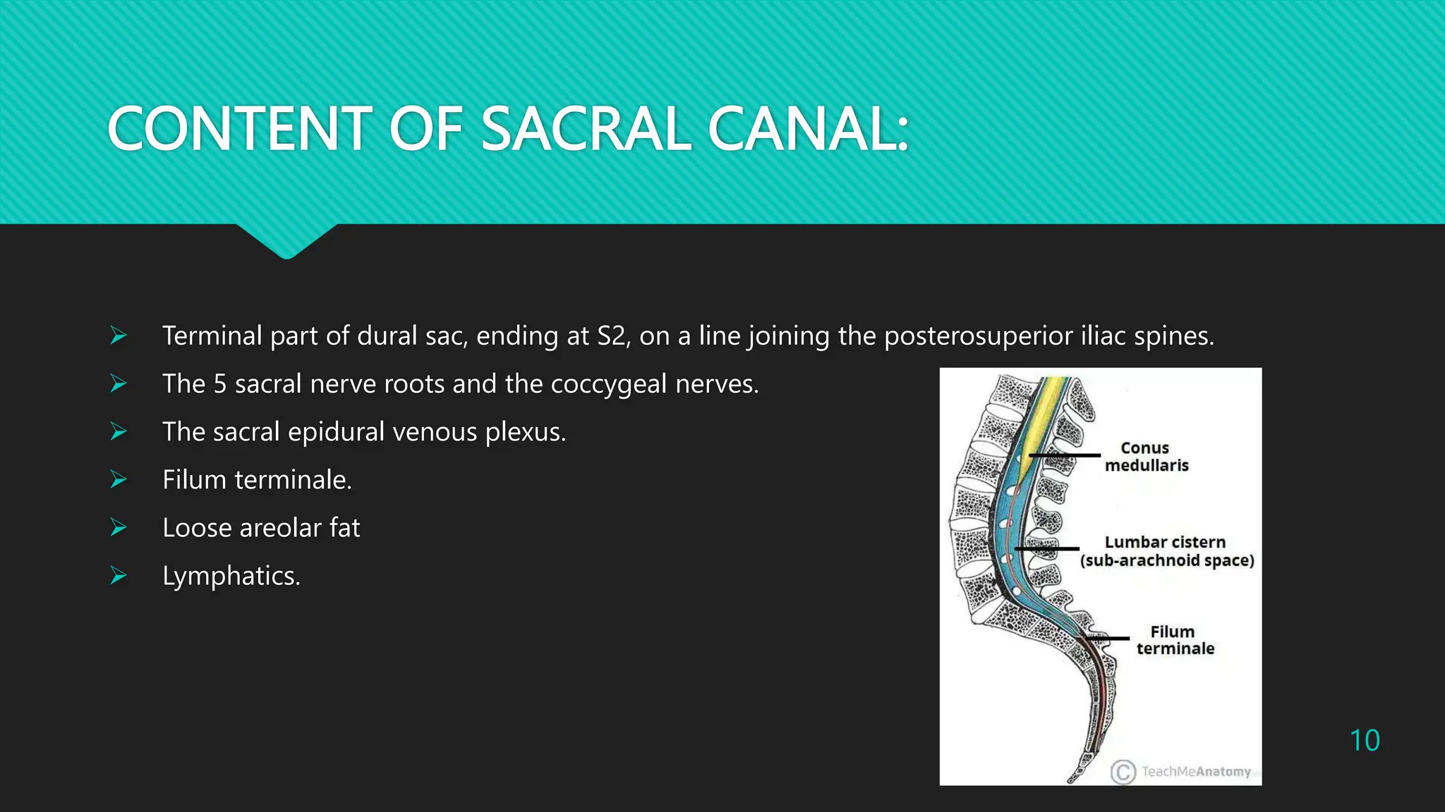 CAUDAL BLOCK and caudal anaesthesia in children | PPTX