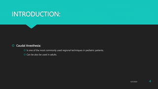 CAUDAL BLOCK and caudal anaesthesia in children | PPTX