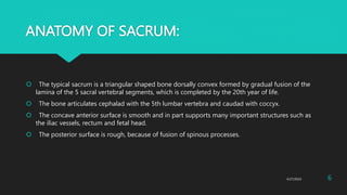 CAUDAL BLOCK and caudal anaesthesia in children | PPTX