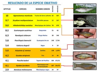 CAUDALES ECOLOGICOS EN LA CUENCA DEL RÍO AYUQUILA-ARMERIA.pdf