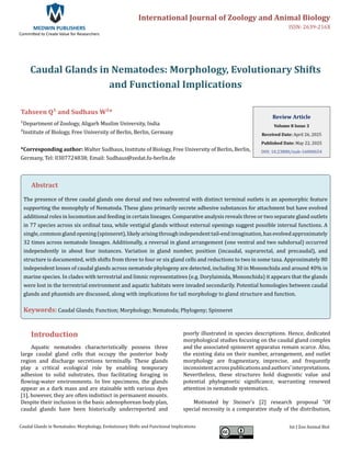 Caudal Glands in Nematodes: Morphology, Evolutionary Shifts and ...