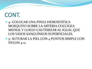 Caudectomia en caninos | PPTX