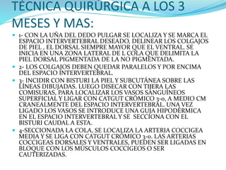 Caudectomia en caninos | PPTX