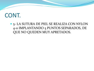 Caudectomia en caninos | PPTX