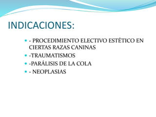 Caudectomia en caninos | PPTX