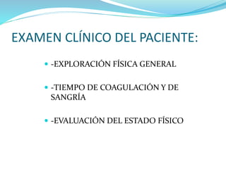 Caudectomia en caninos | PPTX