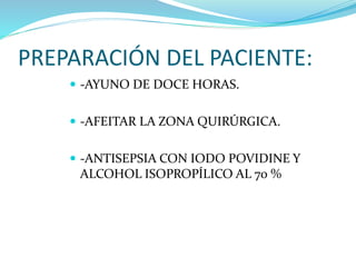 Caudectomia en caninos | PPTX