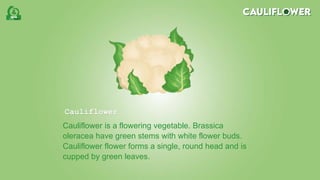 Cauliflower | PPTX