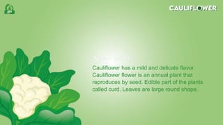 Cauliflower.pdf