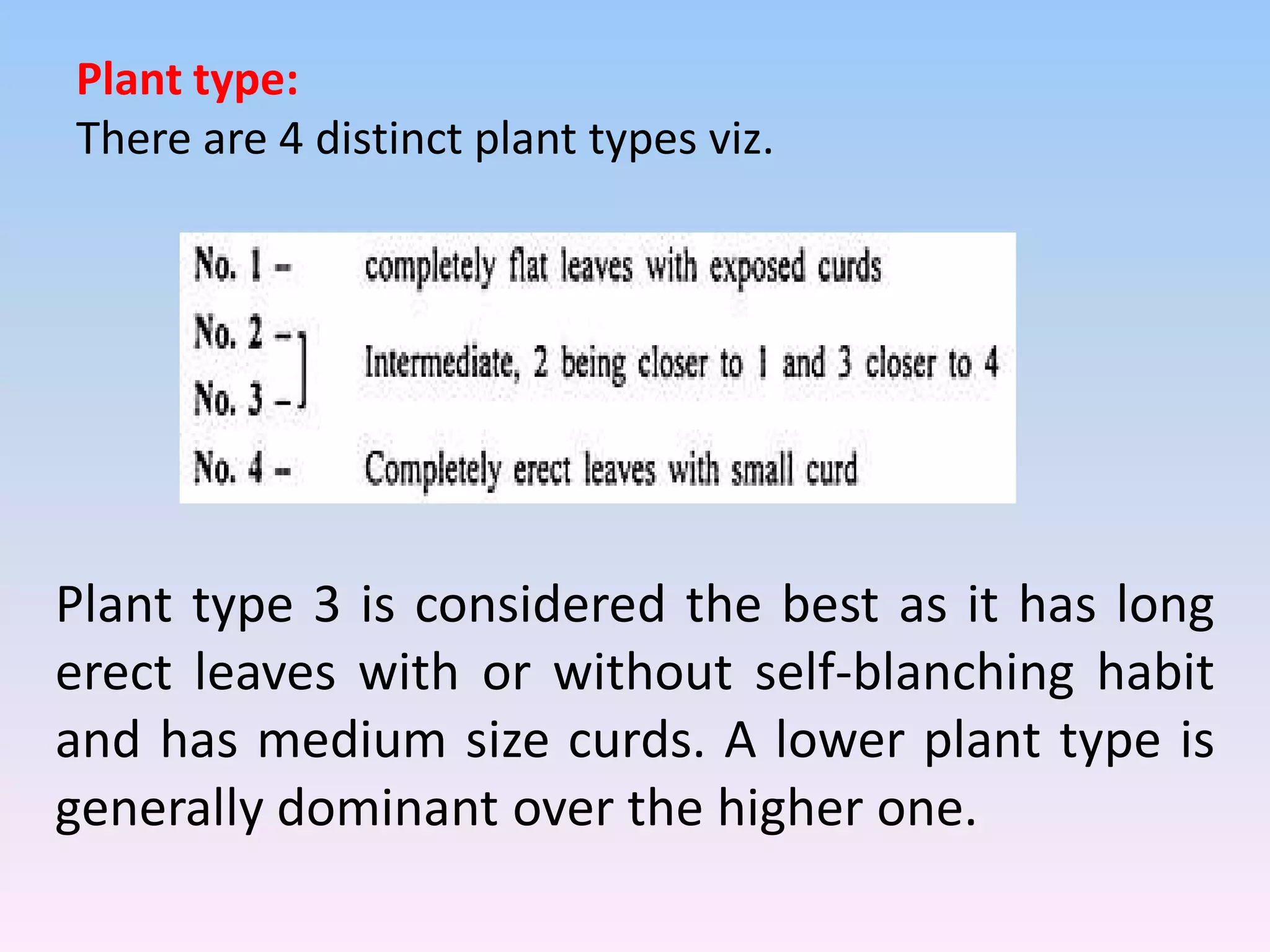 $Cauliflower breeding | PDF