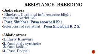 CAULIFLOWER BREEDING 1 Parmar pptx | PPTX