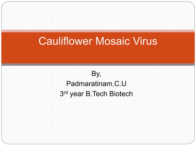 Cauliflower mosaic virus | PPTX | Genetics | Science