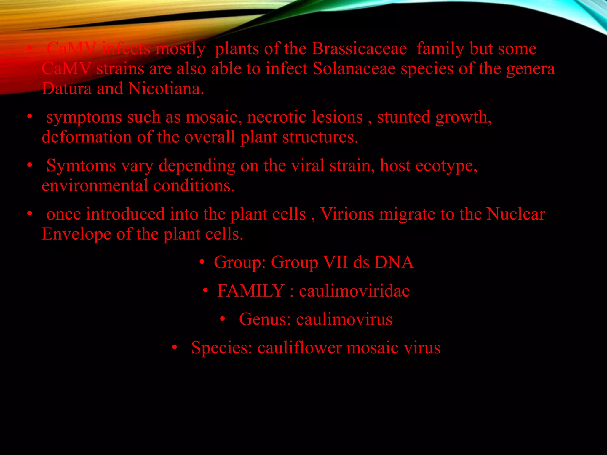 Cauliflower mosaic virus ppt | PPTX