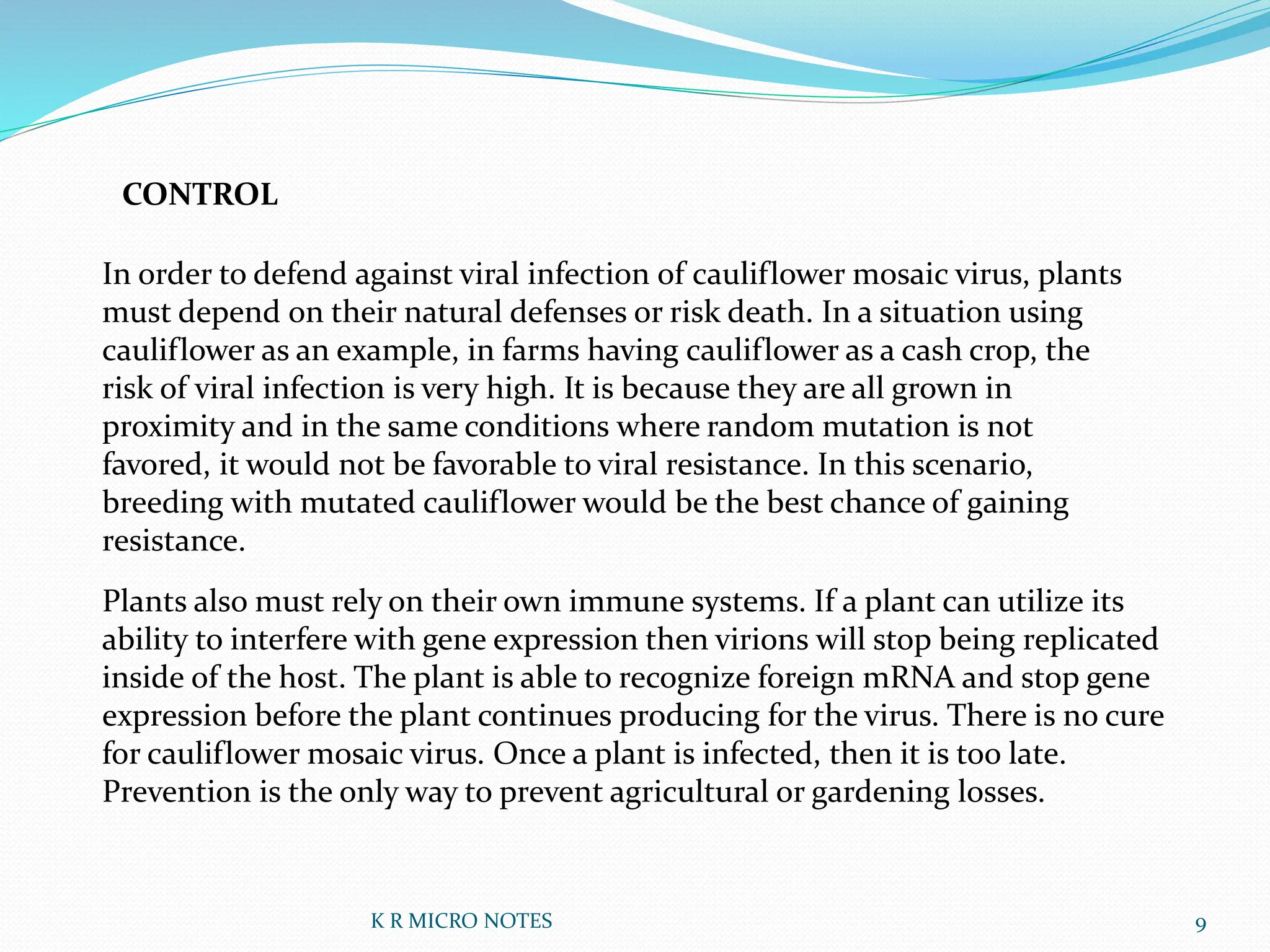 CAULIFLOWER MOSAIC VIRUS K R.pptx
