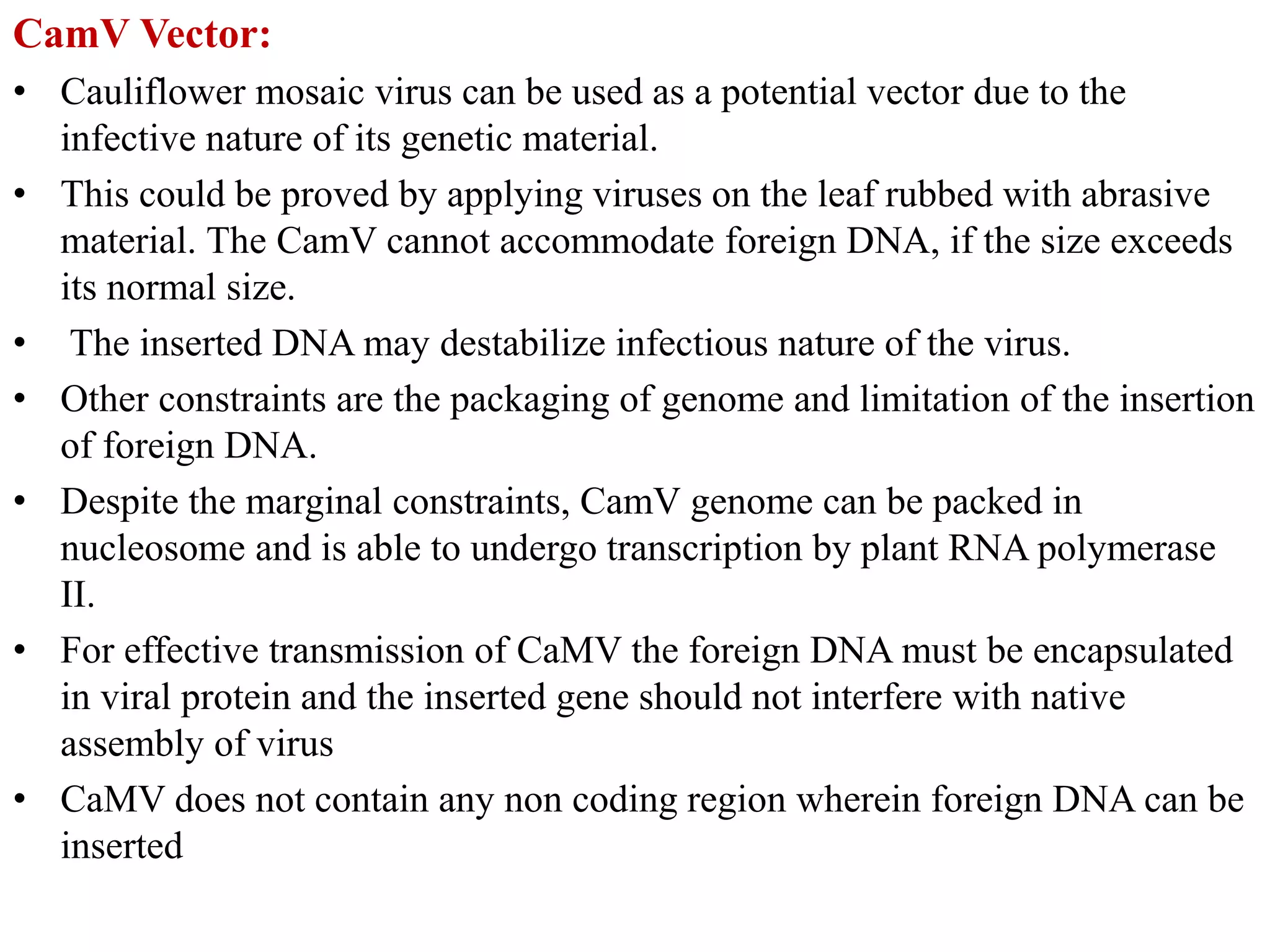 Caulimo viruses as vector | PPTX