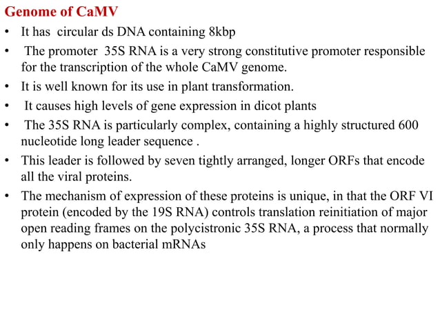 Caulimo viruses as vector | PPTX | Genetics | Science