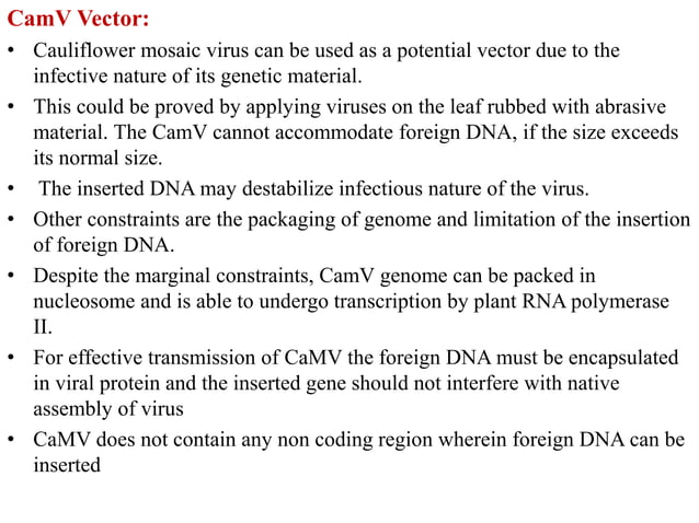 Caulimo viruses as vector | PPTX | Genetics | Science