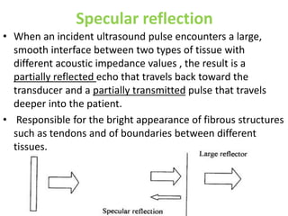 Specular Reflection Ultrasound