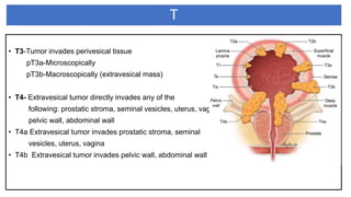 Ca Urinary Bladder anatomy to management | PPTX