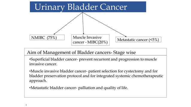 Ca Urinary Bladder anatomy to management | PPTX | Cancer | Diseases and ...