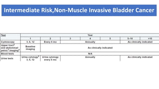 Ca Urinary Bladder anatomy to management | PPTX
