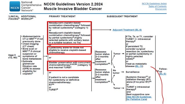 Ca Urinary Bladder anatomy to management | PPTX | Cancer | Diseases and ...