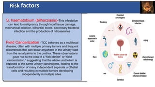 Ca Urinary Bladder anatomy to management | PPTX