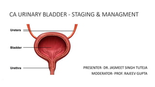 CA URINARY BLADDER - STAGING & MANAGMENT.pptx