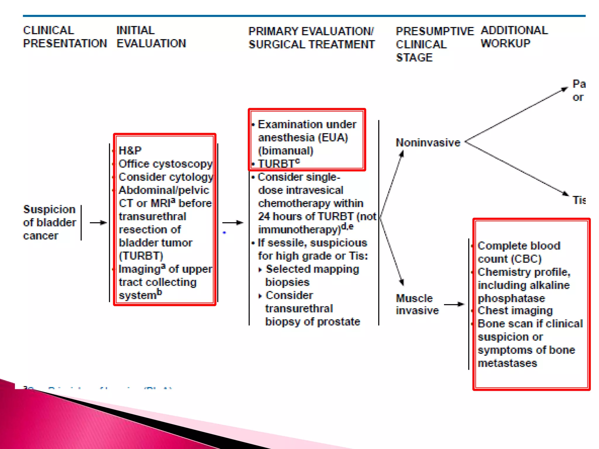 Ca urinary bladder management | PPTX