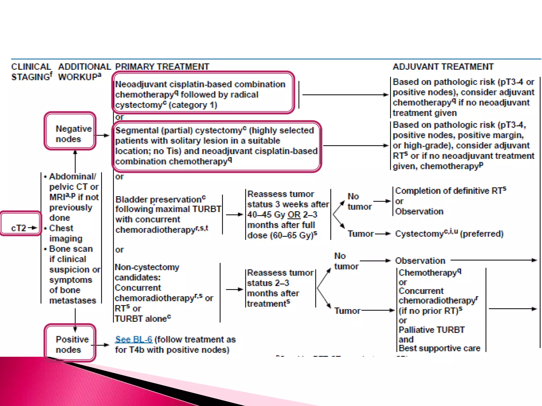 Ca urinary bladder management | PPTX