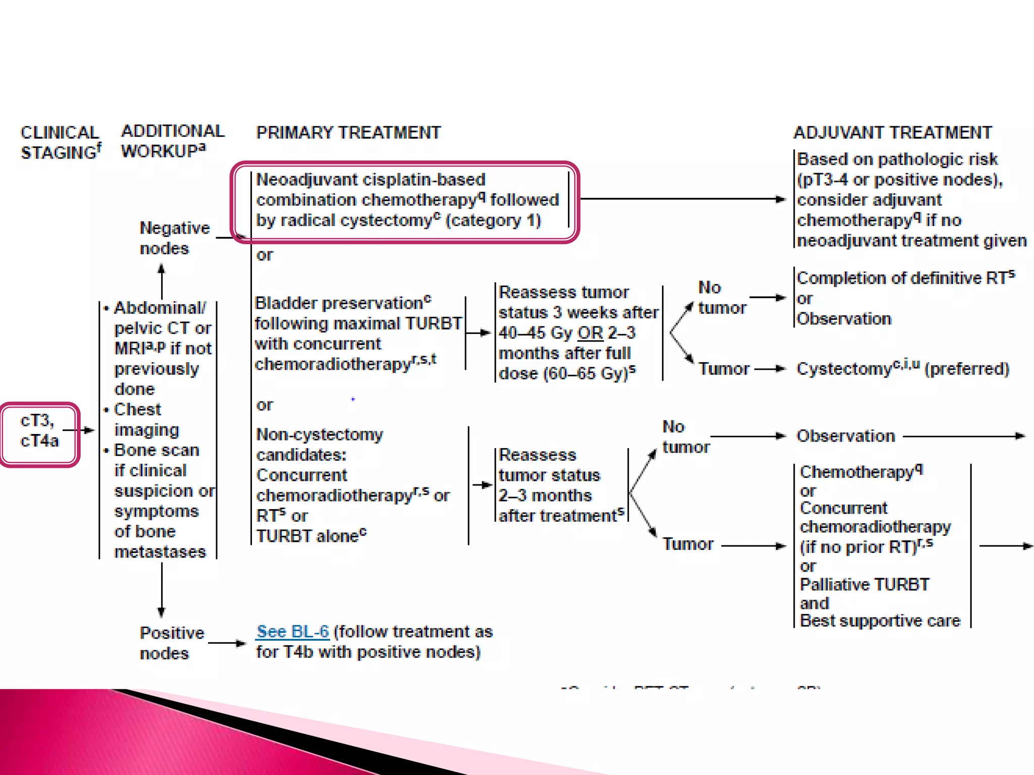 Ca urinary bladder management | PPTX