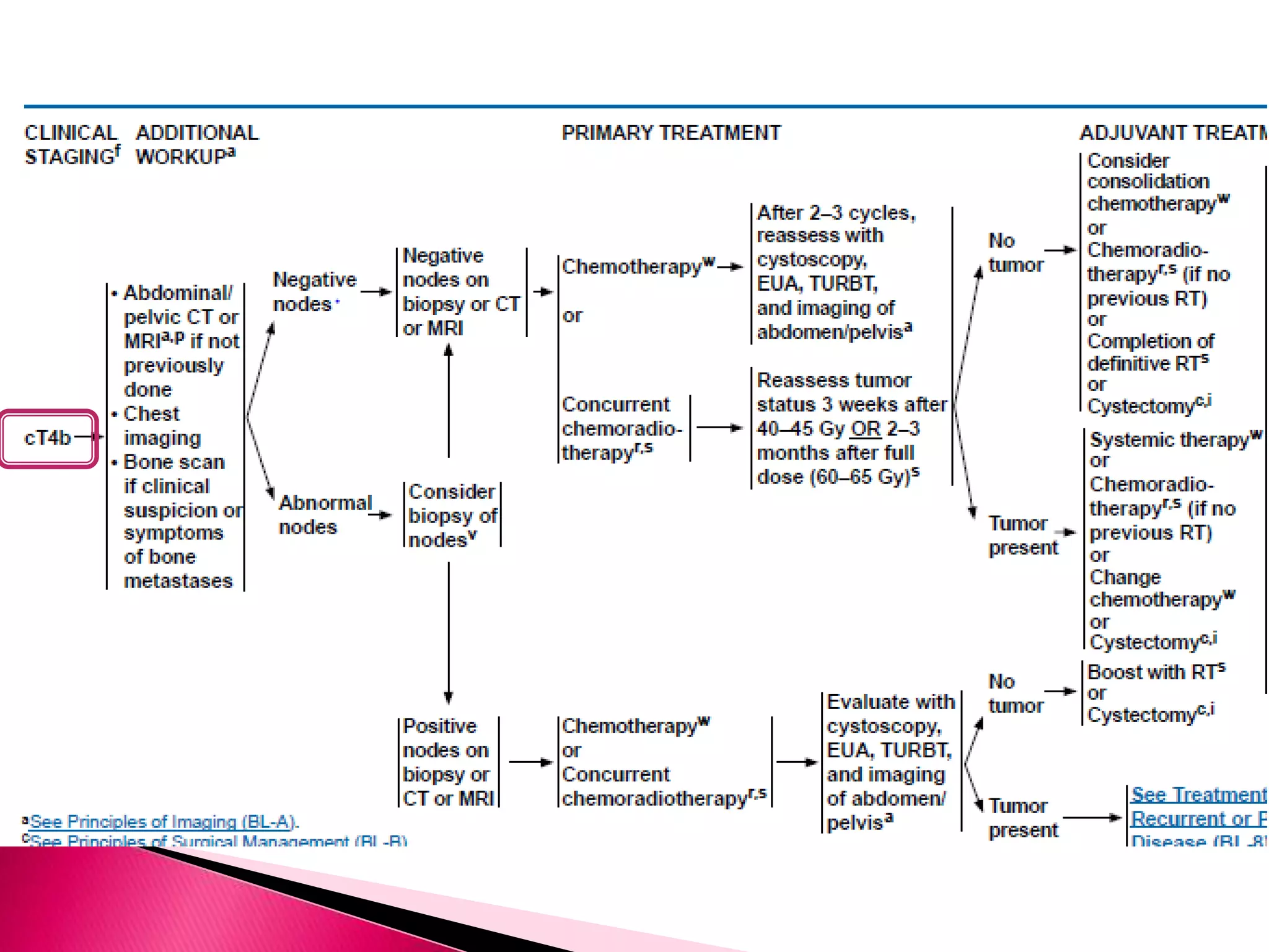 Ca urinary bladder management | PPTX