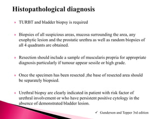Ca urinary bladder management | PPTX