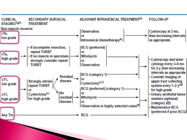 Ca urinary bladder management | PPTX
