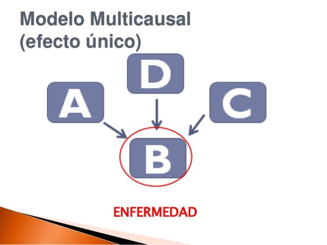 Causalidad y enfoque de riesgo