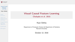 Visutl Causal Feature Learning | PPT