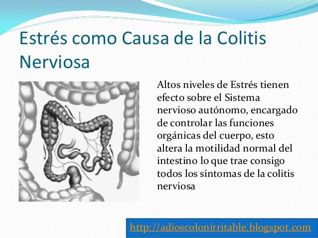 Causas De La Colitis Nerviosa