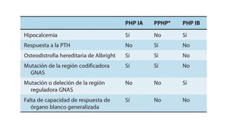 Causas hipocalcemia | PPTX