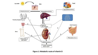 Causas hipocalcemia | PPTX
