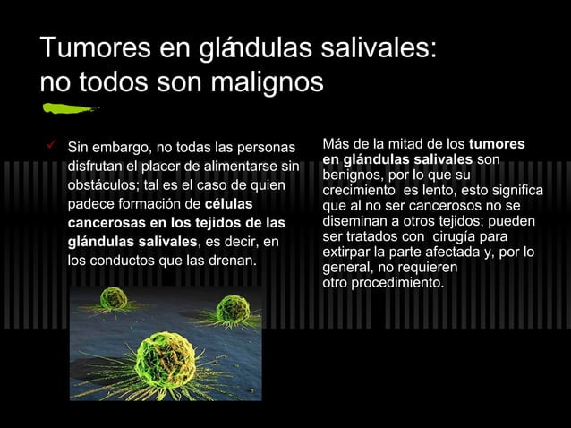 Cáncer En Las Glandulas Salivales Causas Y Síntomas Ppt 