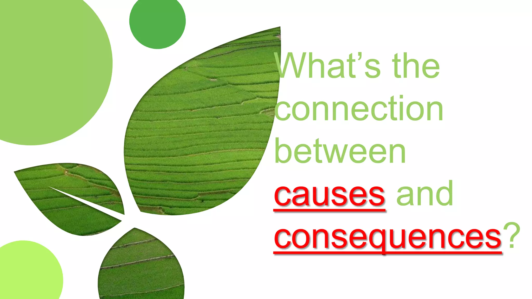 Cause and consequences | PPTX