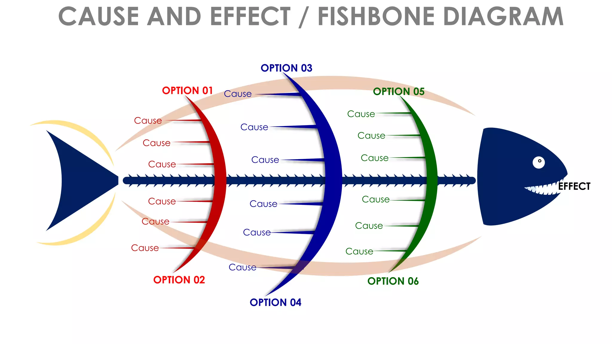 Cause and Effect fish bone analysis effect.pptx