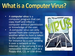Cause and effects of computer virus | PPTX