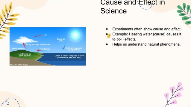 Cause & Effect - 6th grade..........pptx | Science