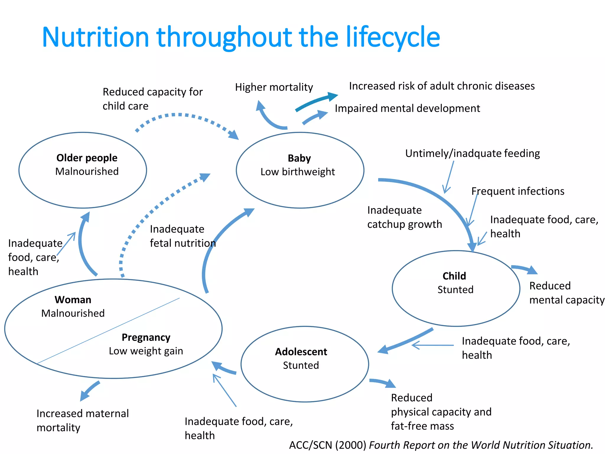 Causes - Consequences of Undernutrition ICPD - UNICEF.pdf