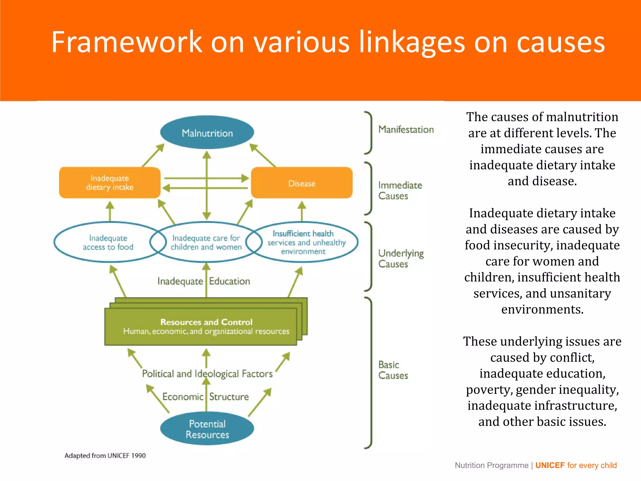Causes - Consequences of Undernutrition ICPD - UNICEF.pdf