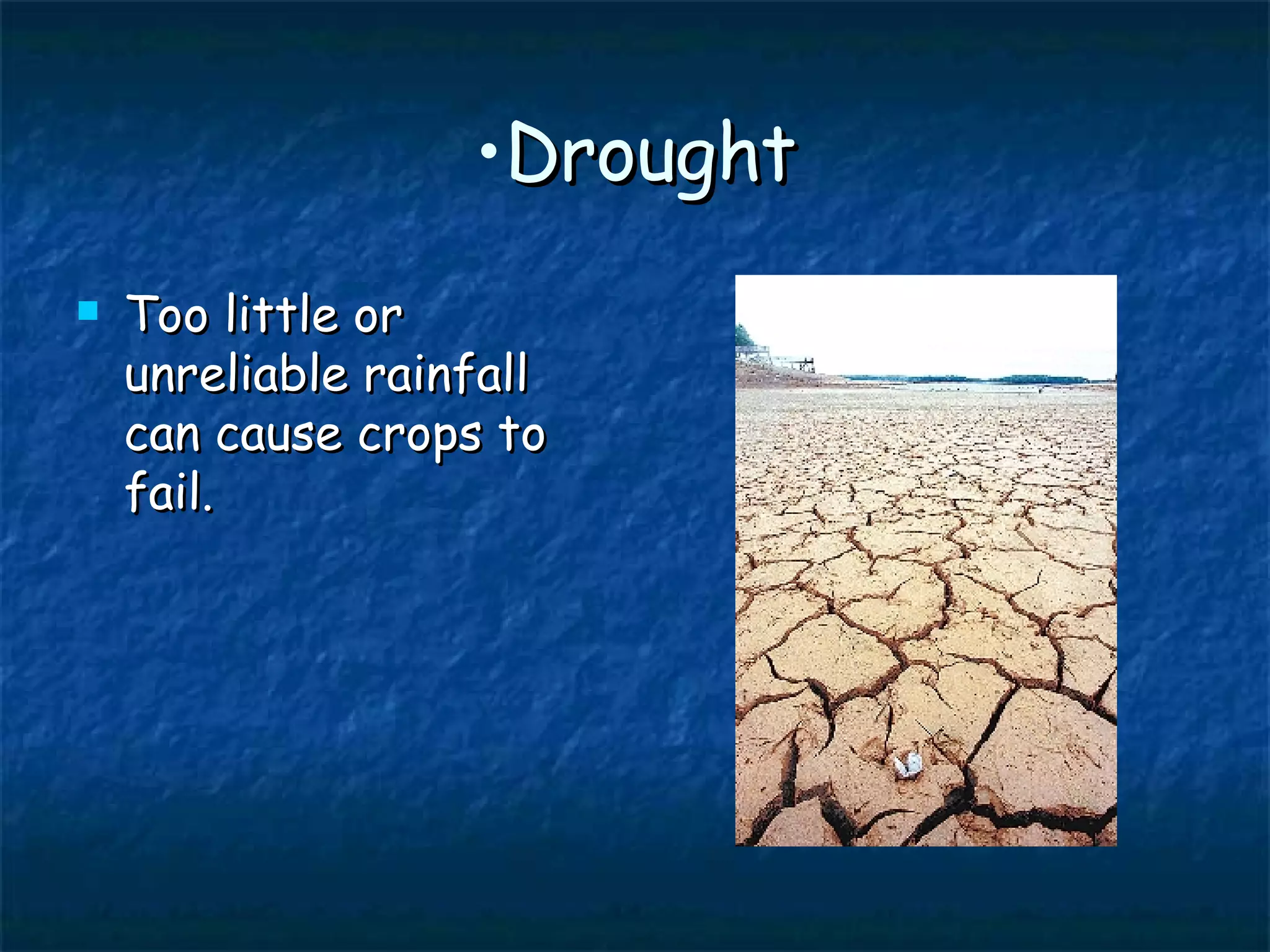 Causes of Poor Food Supply | PPT